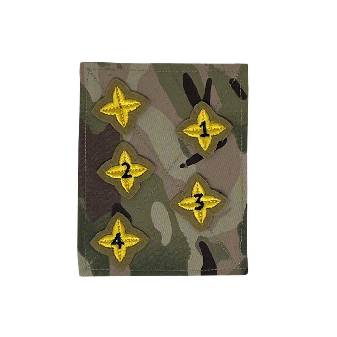 CCF CCS Stars - Proficiency badges - Basic to 4 Star (Pack of 10 ...
